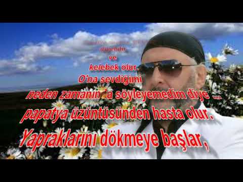 KELEBEĞİN ÖMRÜ..