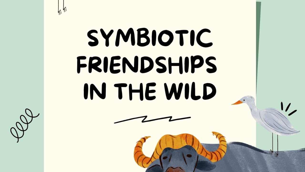 Symbiotic Friendship in the wild | Worlds Science | - YouTube