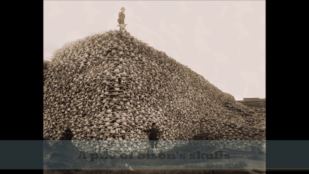 DISTURBING PHOTOS FROM HISTORY! - YouTube