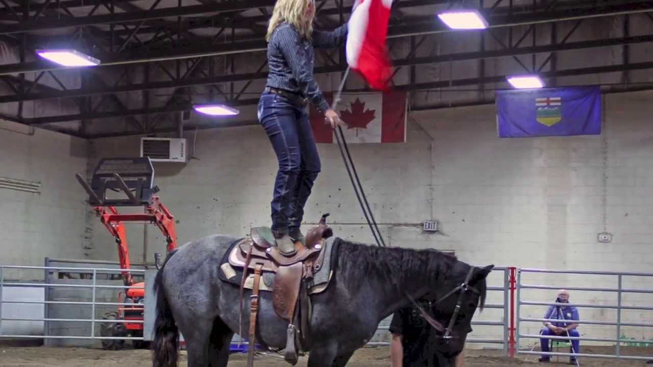 Rocking Heart Ranch Horse Training - YouTube