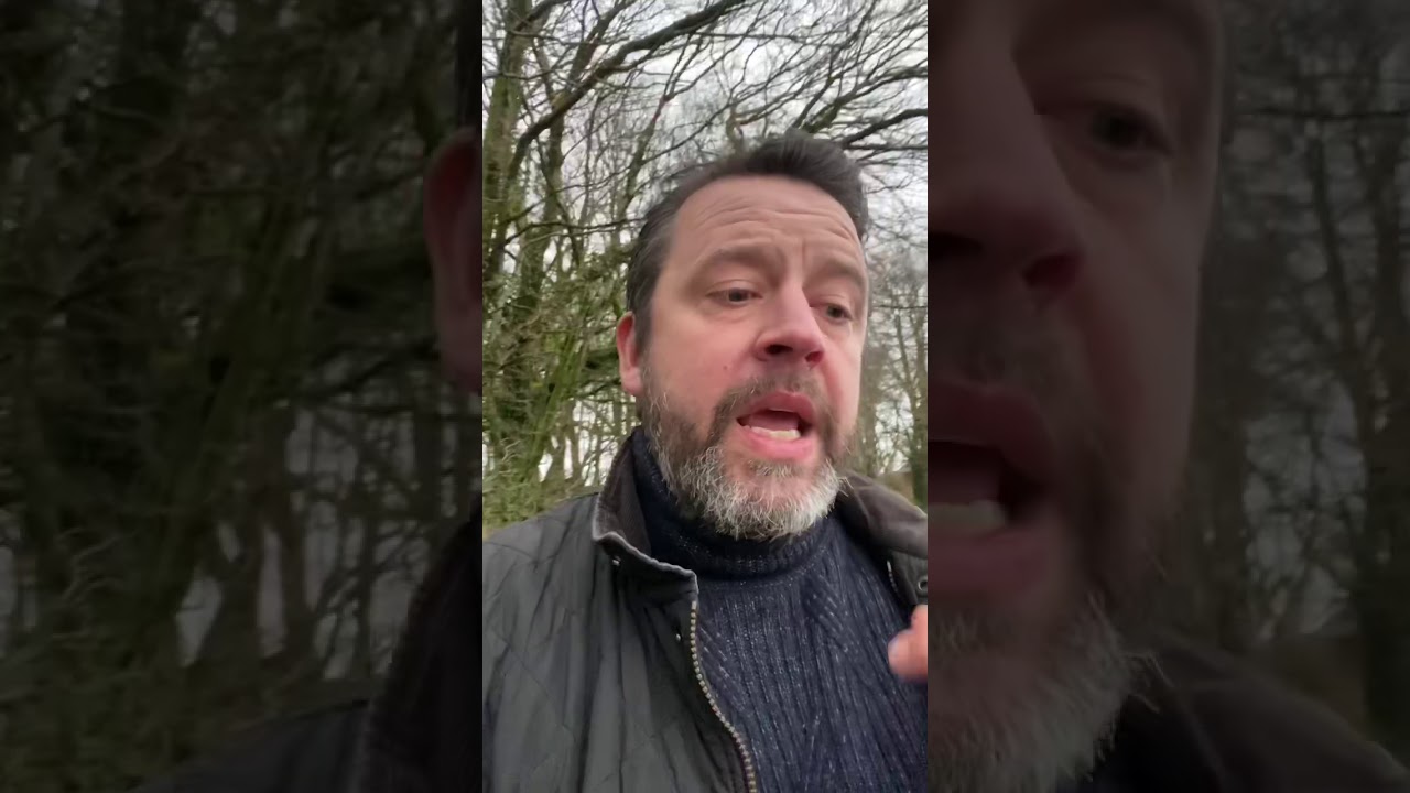 Dog training - what does aversive mean? Are e-collars (or anything else ...