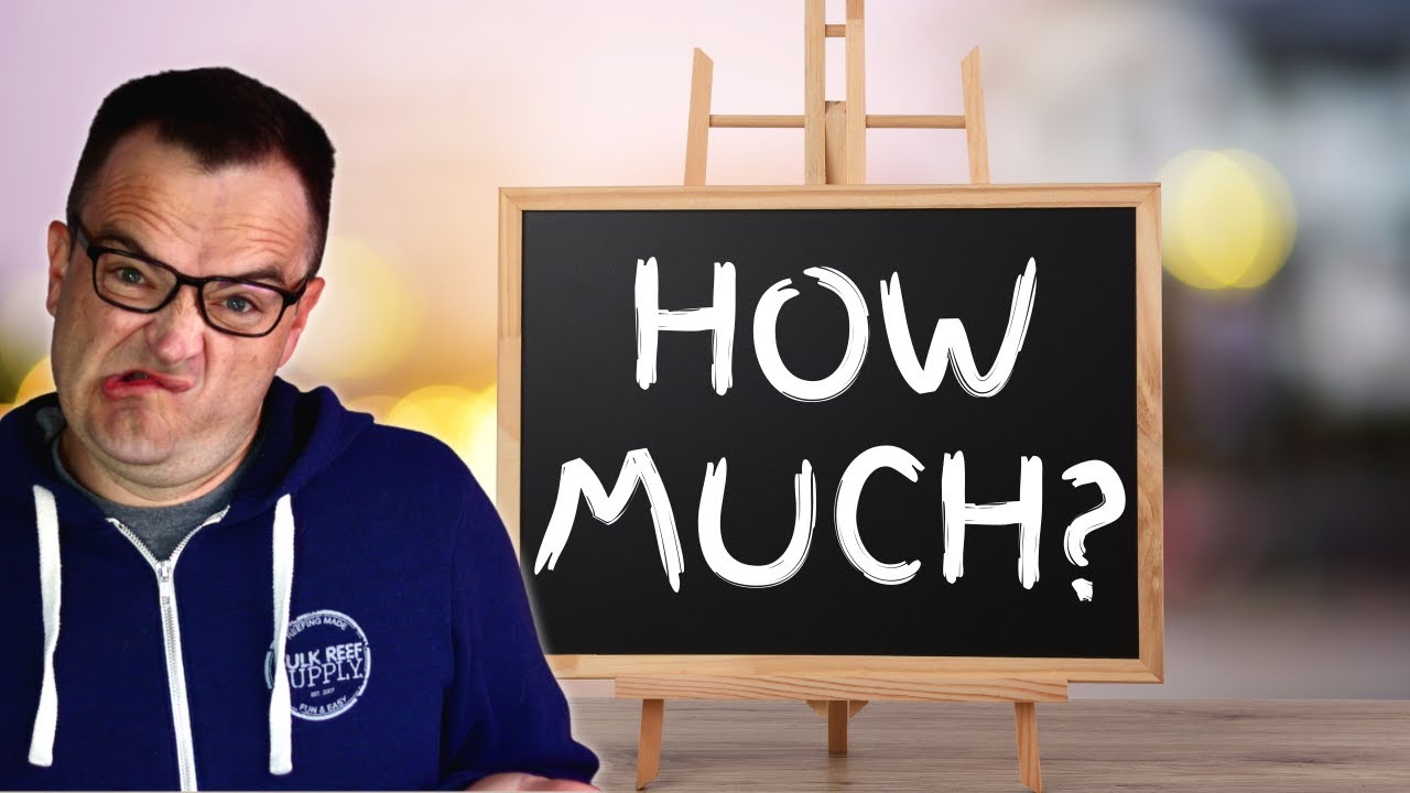 how-expensive-is-water-for-a-reef-tank-or-saltwater-aquarium-youtube