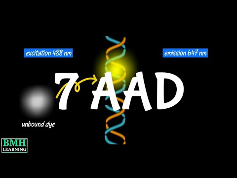 7-AAD Cell Viability Assay | 7-AAD Cell Viability Dye | - YouTube