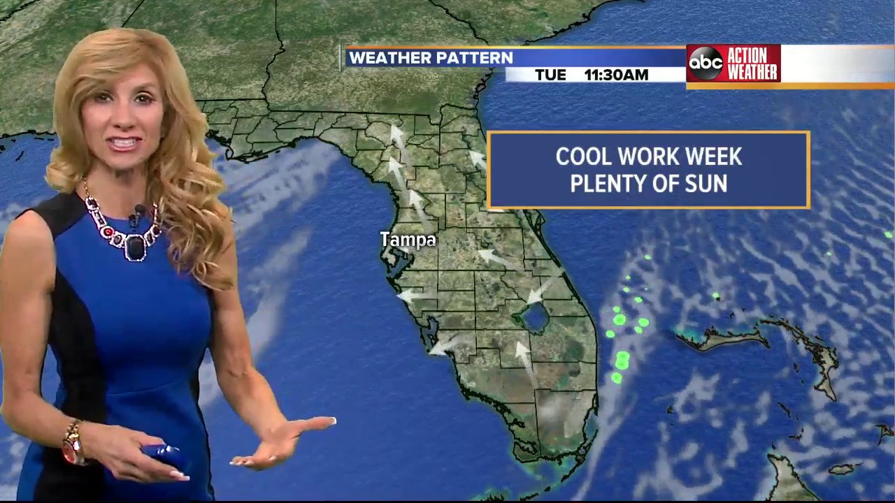 ABC Action Weather forecast for Sunday, January 29 - YouTube