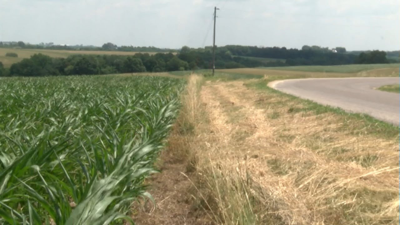 Drought conditions continue to hurt farming crops - YouTube