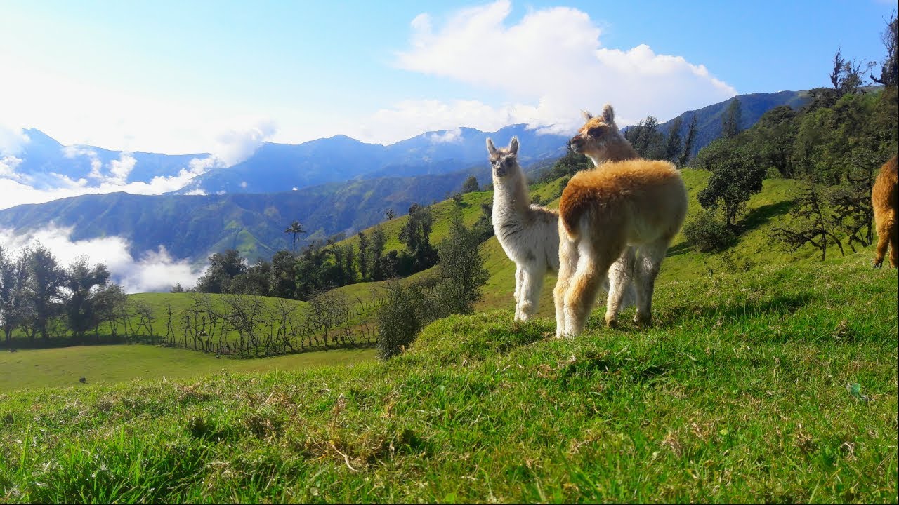Viaje a Chimbo - Ecuador - YouTube