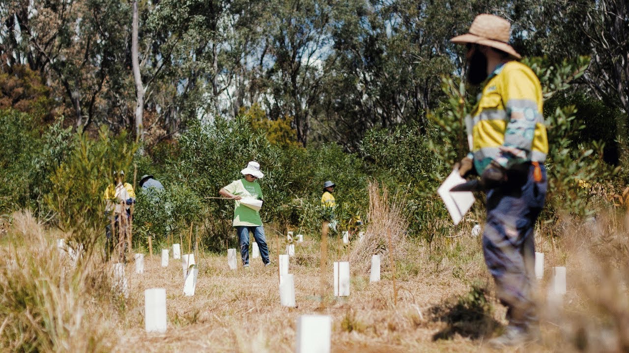 Community planting day at Grahamstown Dam | Hunter Water - YouTube