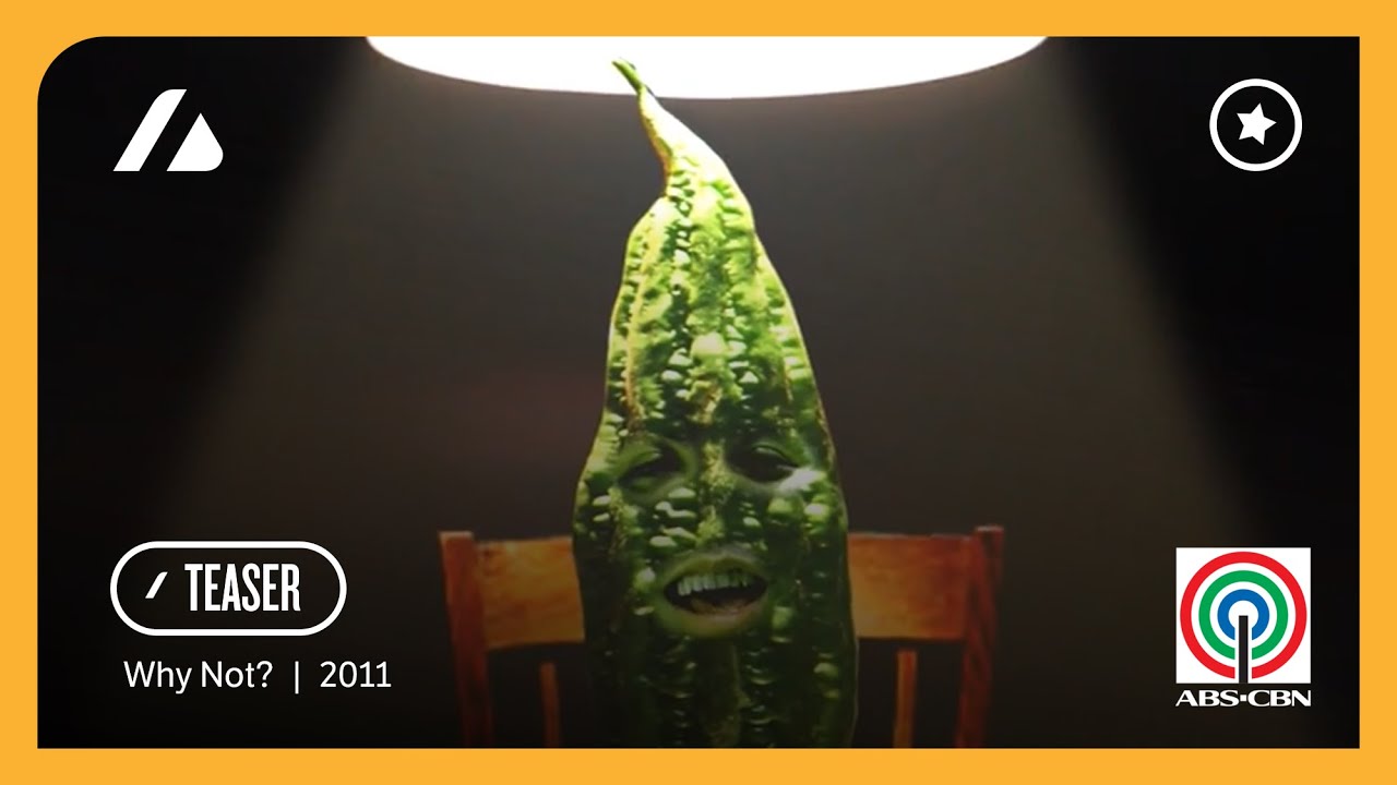 Why Not? - Teaser (2011) - YouTube