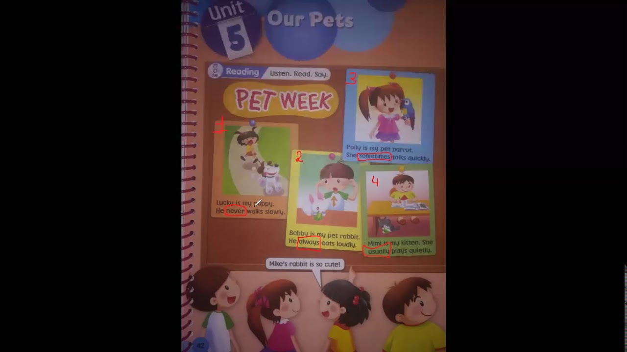English Class 3rd Grade UNIT 5 OUR PETS PAGE 42 ADVERBS 27/05/2020 ...