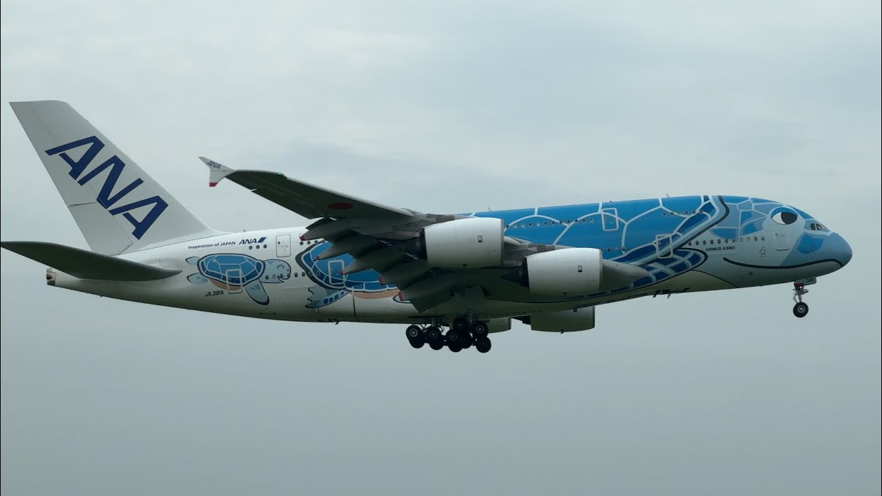 4K] Blue Turtle Livery - YouTube