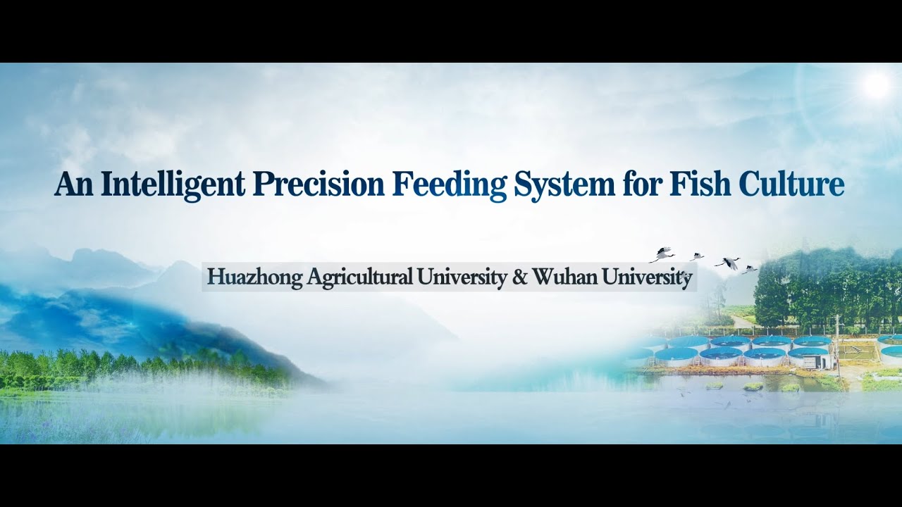 An Intelligent Precision Feeding System for Fish Culture - YouTube