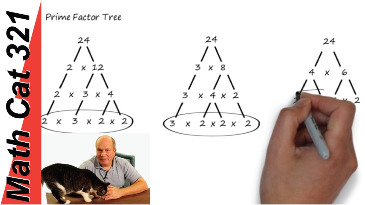 How to Construct a Prime Factor Tree - MathCat Math Hacks - YouTube