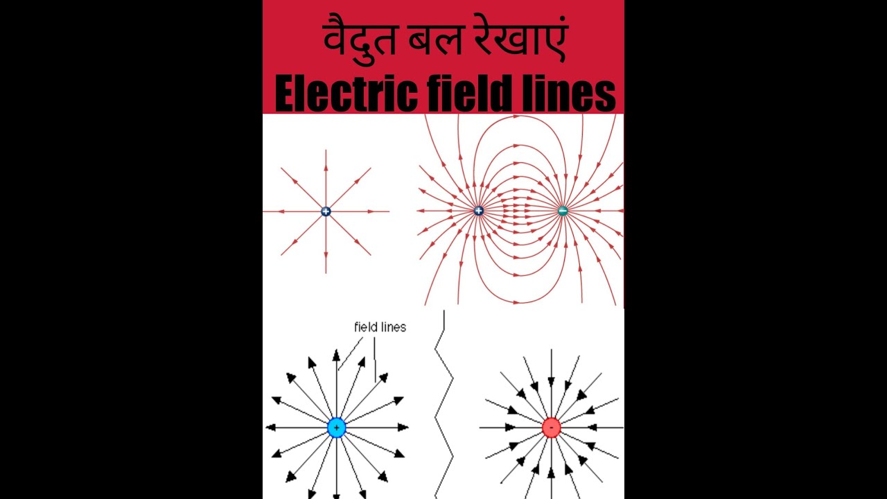 वैदुत्त बल रेखाएं (Electric field lines) - YouTube