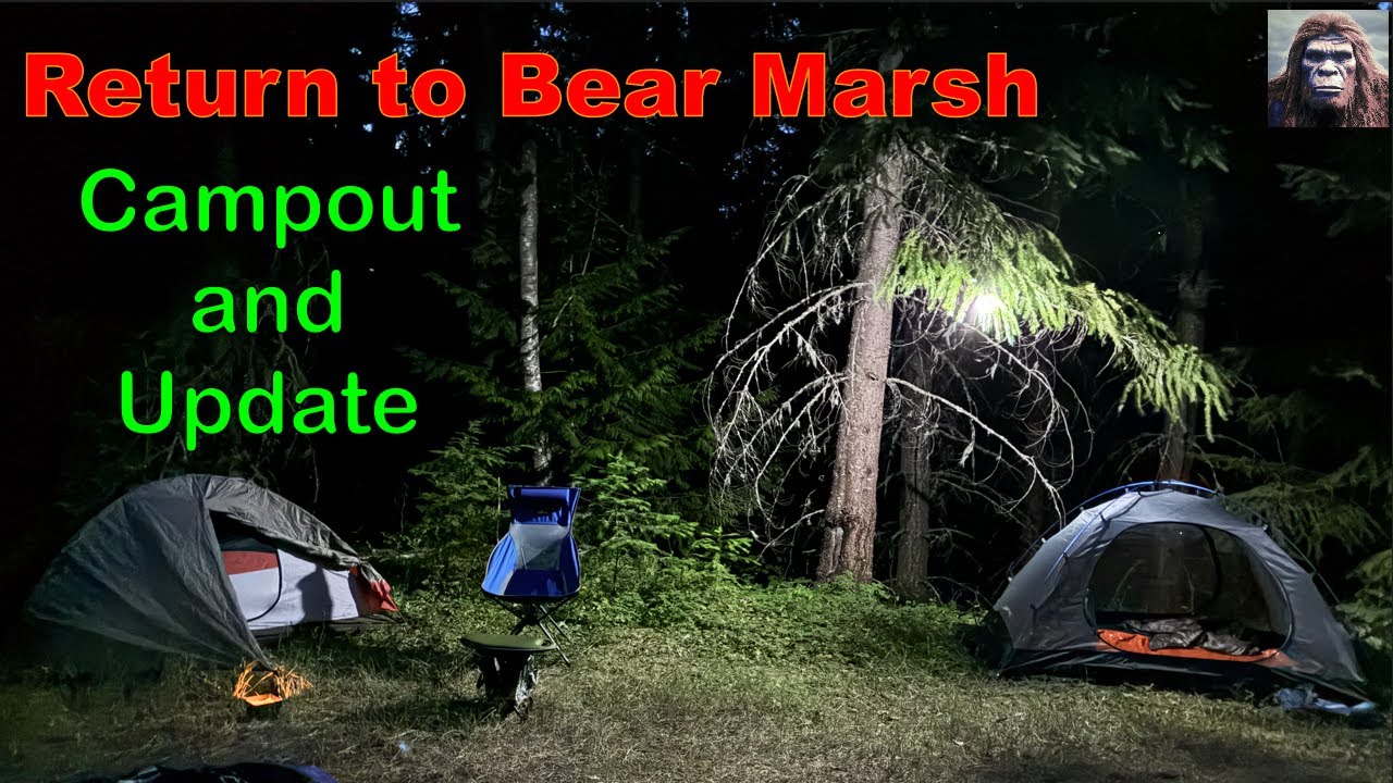 Return to Bear Marsh - YouTube