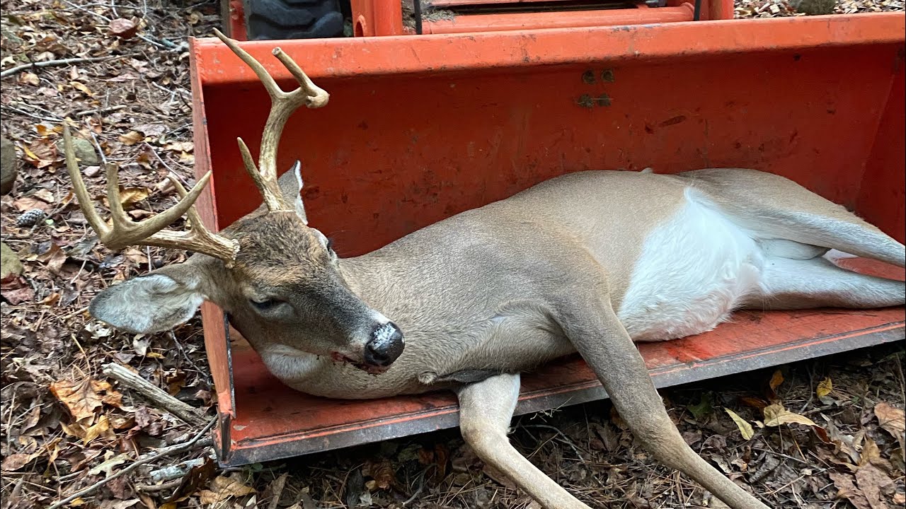 Jason’s redemption part 1, and the highs and lows of deer hunting - YouTube