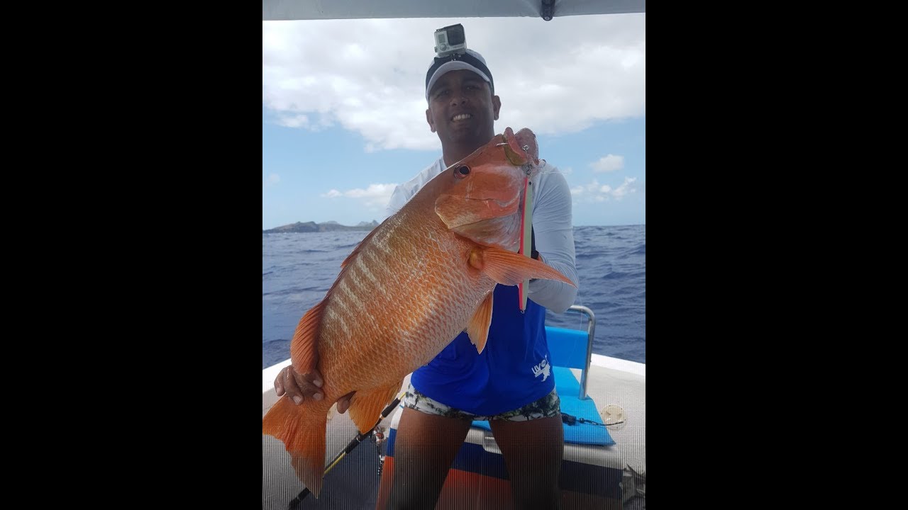 Gold Fish Fernando de Noronha Pescaria Dentão - YouTube