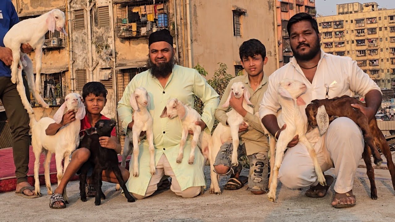 4999/-😱Onwards Dhamaka Offer Born Mumbai Looto Aur Shouk Karo || Shams ...