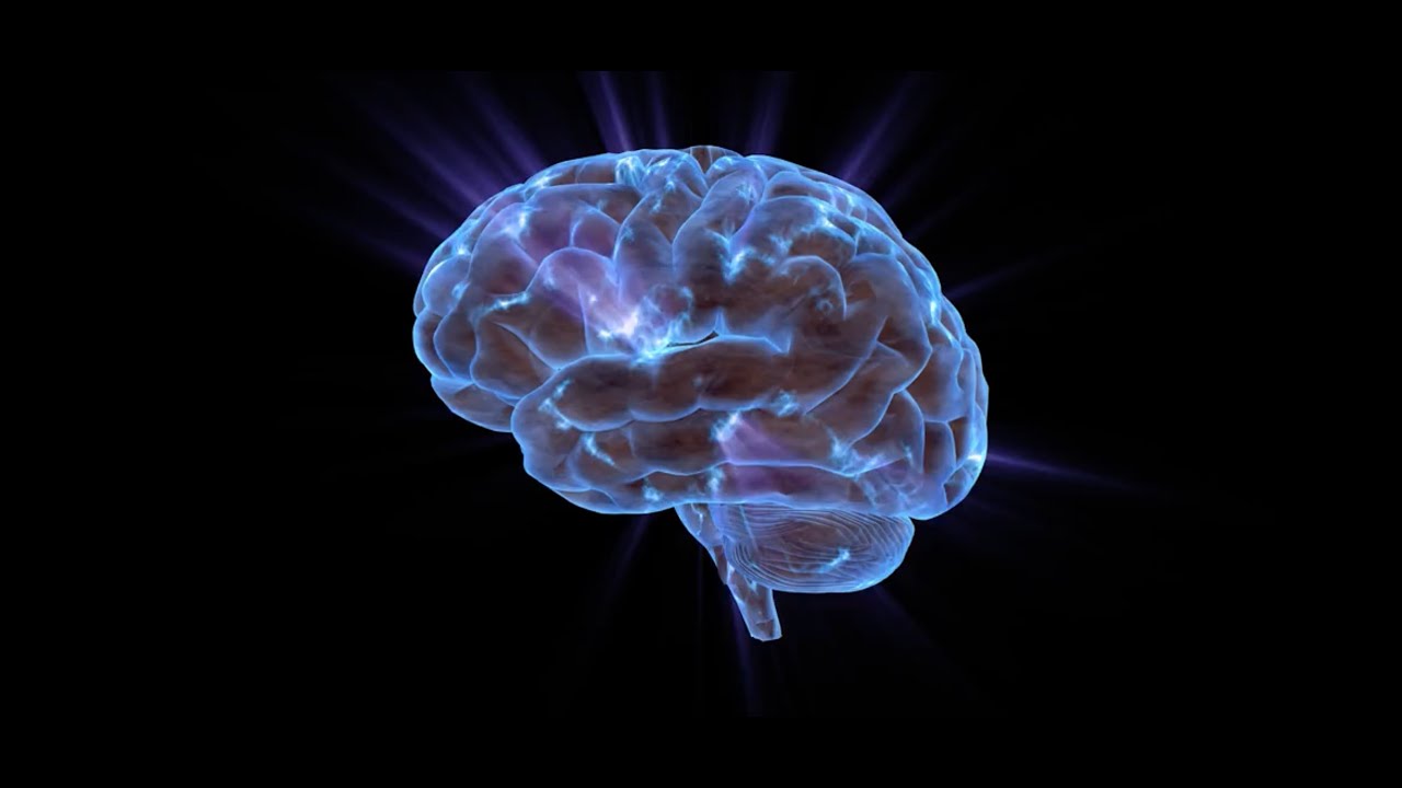 Alpha, Beta, Sigma: Which Personality Type Is the Best? | Discover the ...