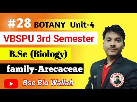 plams plants Arecaceae family #plams_plant #bsc_3_semester or 2nd year ...