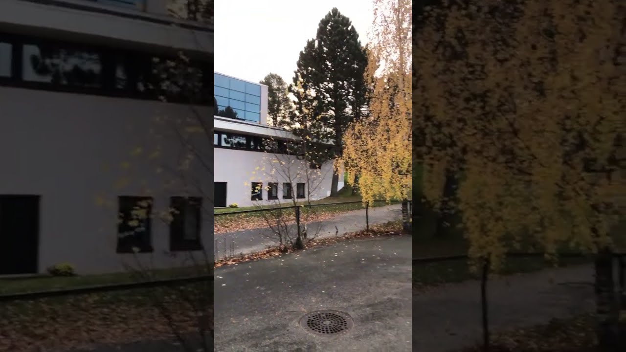 self healing body - David Hung Le Nguyen is live! - YouTube