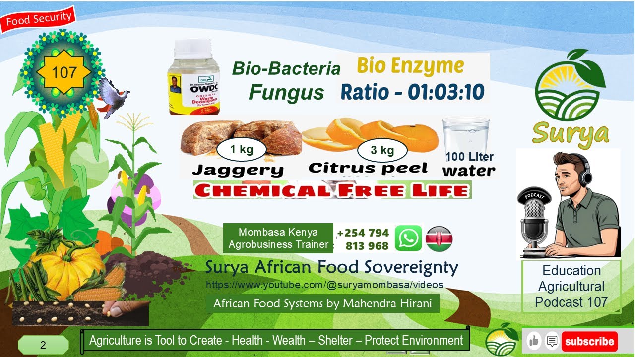 Bio Enzymes - Bio Fertilisers - Soil Micro Biology Part 1 - YouTube