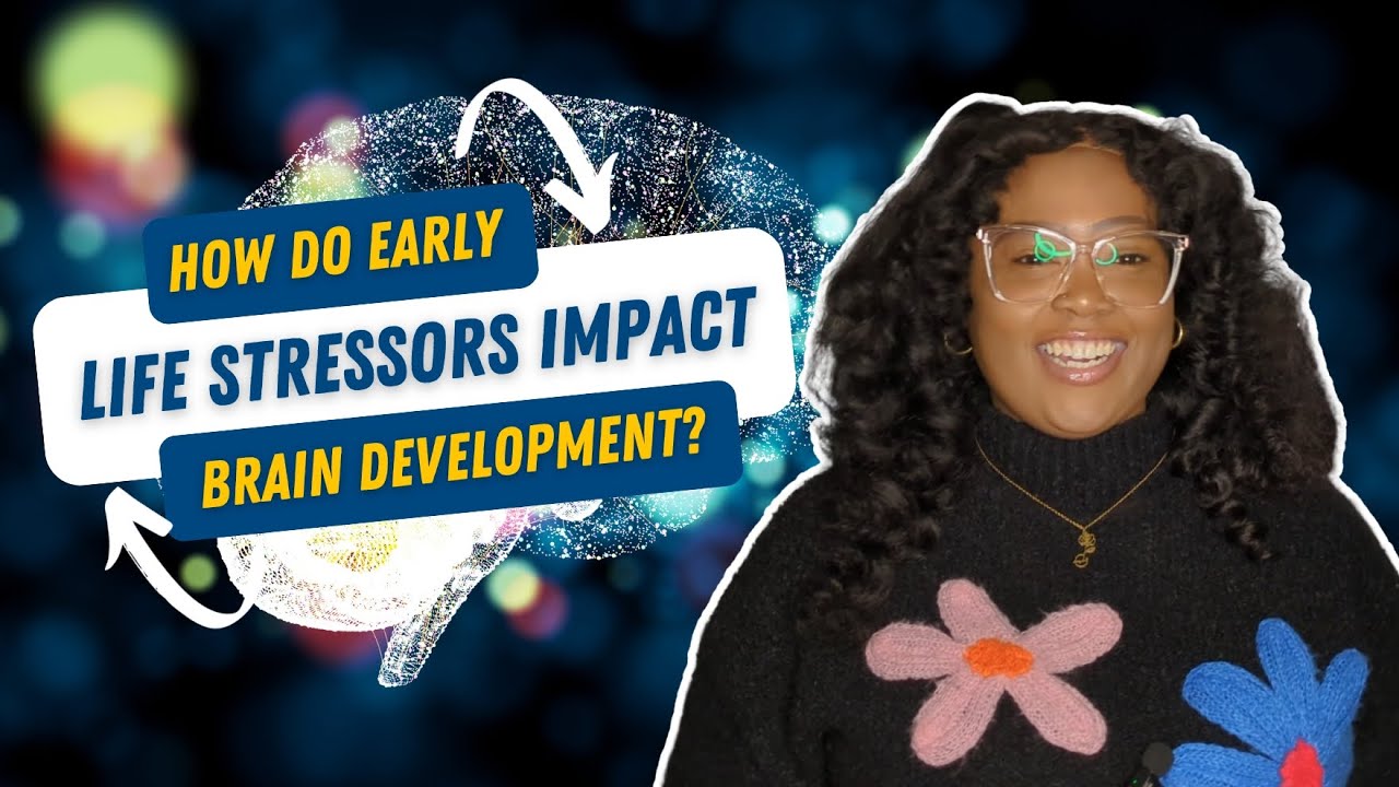 How do early life stressors impact brain development? - YouTube