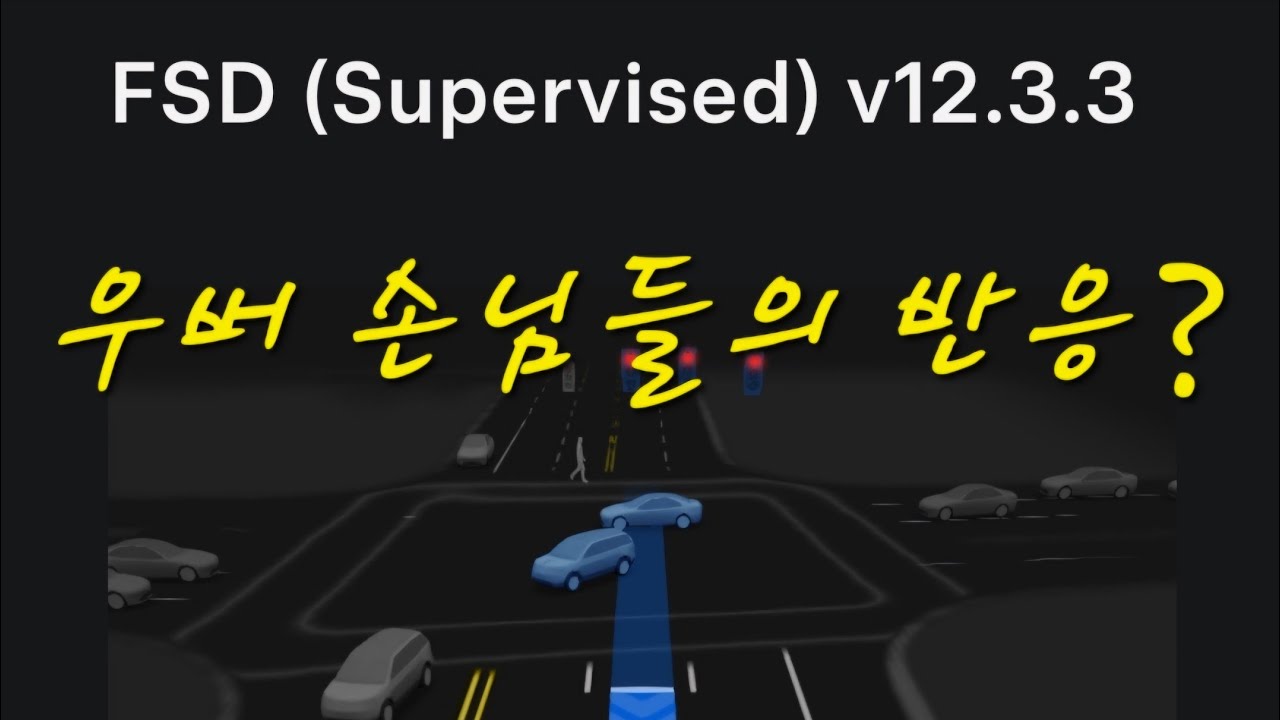 FSD를 체험하는 우버손님들의 일반적인 반응들 / 테슬라 FSD (Supervised) V12.3.3 (미국) - YouTube