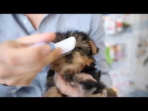 MASTERPET PETSHOP MAĞAZA TANITIMIMIZ