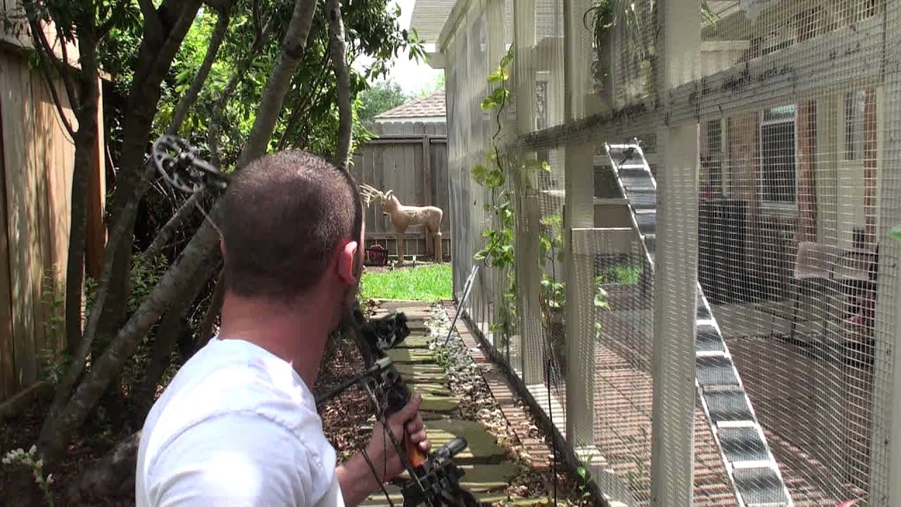 Shooting my Mathews MQ1 Compound Bow - YouTube