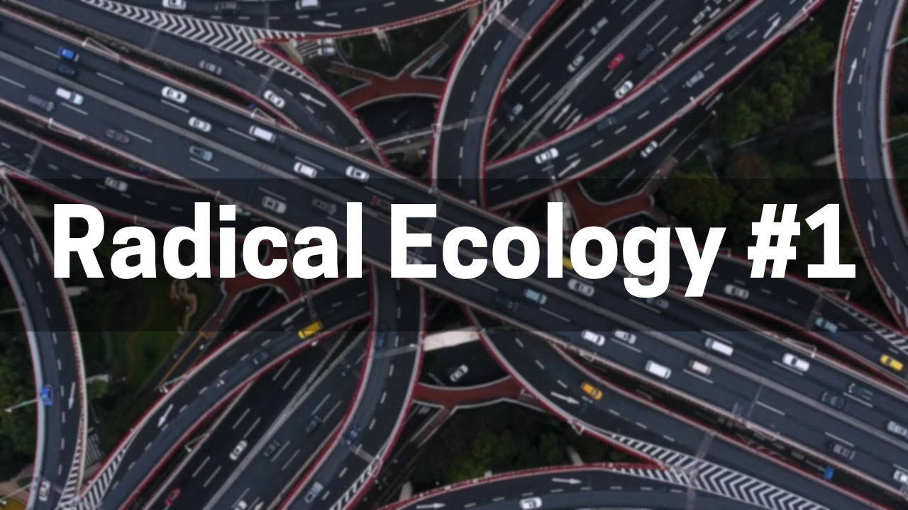 Notes on a Radical Ecology #1: Why Radical Ecology - YouTube