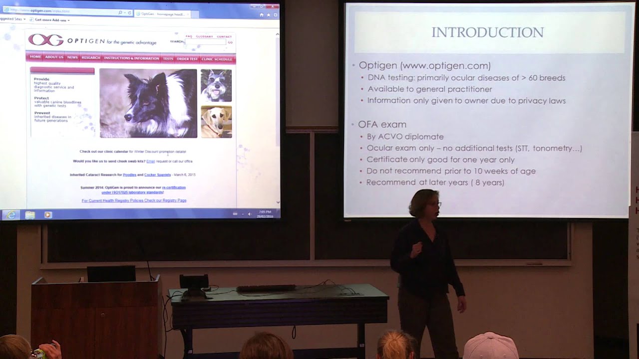 Breed Associated Ocular Diseases with Dr Chantale L Pinard edited ...