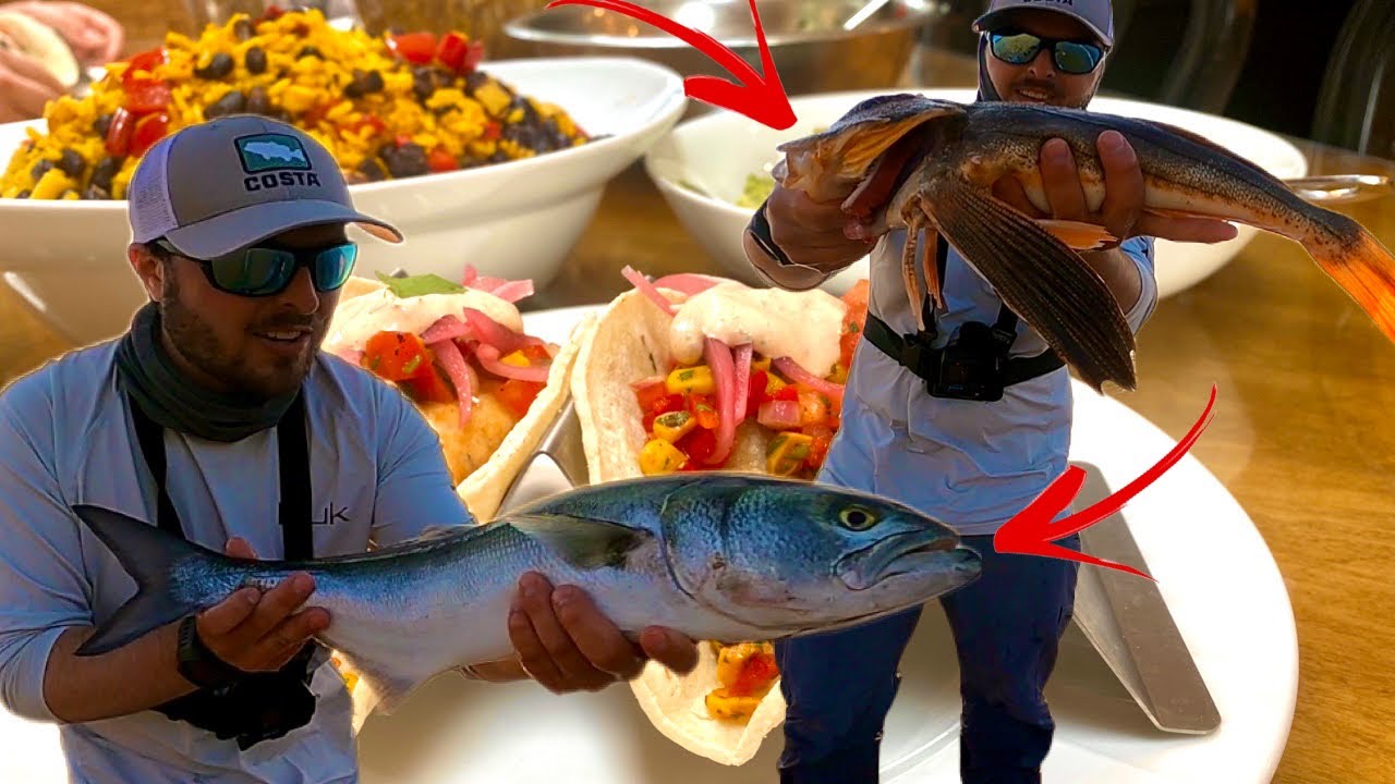 TRASH Fish Tacos? Taste Testing the Fish Fishermen Always Throw Back ...