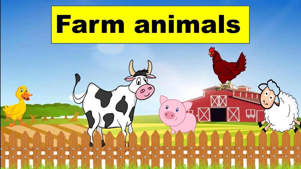 Farm Animals For Kids What Are Farm Animals I Farm Animals YouTube farm-animals-for-kids-what-are-farm-animals-i-farm-animals-youtube