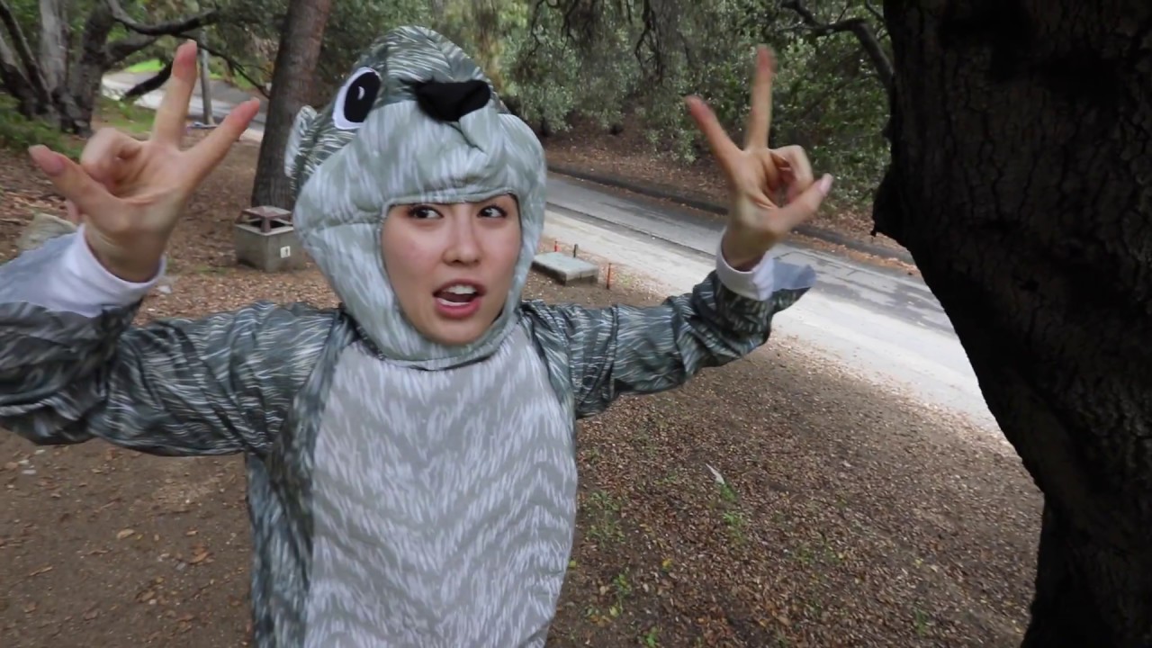 FINDING A RARE GIANT SQUIRREL!! (Comedy Sketch) - YouTube