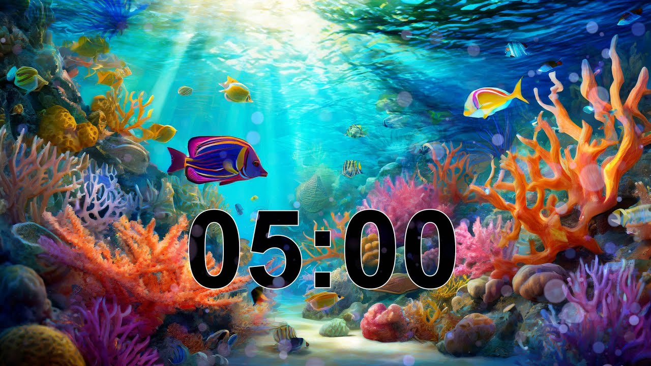5 Minute Timer | Music of the sea 🎶 🌊 - YouTube