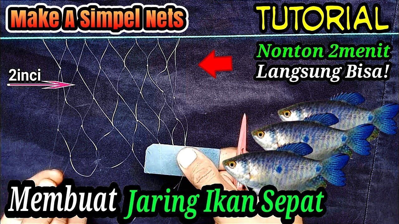 Cara Membuat Jaring Ikan Sepat Dari Senar Pancing - YouTube