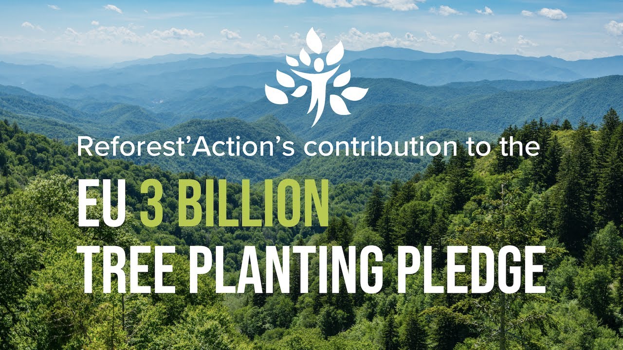 Reforest'Action - Contribution to the EU 3 Billion Tree Planting Pledge ...