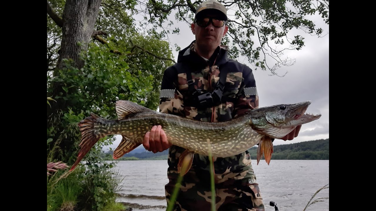 Pike fish Scotland. One weekend two lochs - YouTube