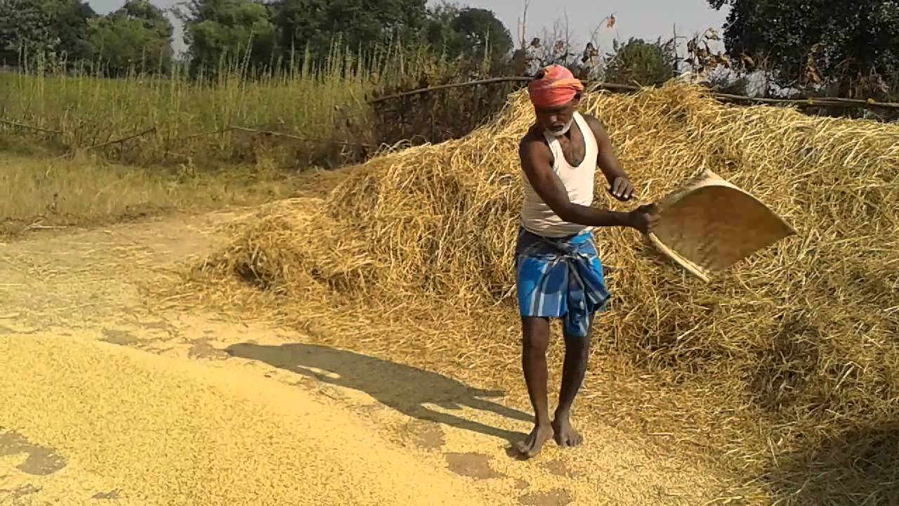 Md israil. Khet khalihan ki Dhan. 2015 - YouTube