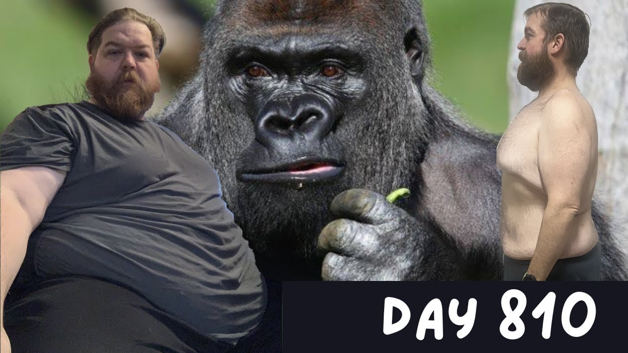 240 Pounds down on the Gorilla Diet | Day 810 | WFPB SOS Free | 3 Year ...