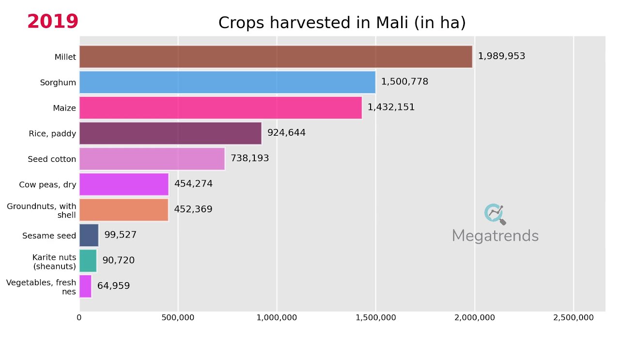 Top 10 Crops harvested in Mali (1961 - 2019) - YouTube