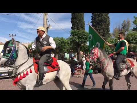 558  Çağlak Festivali Açılış töreni atlı birliklerin şehir turu
