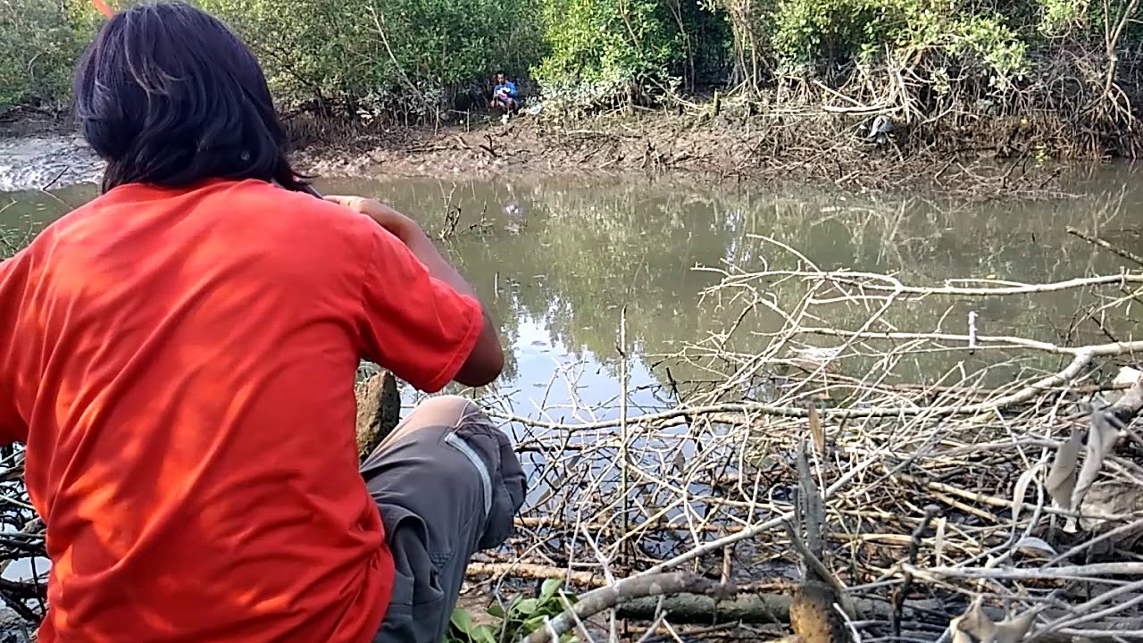 MANCING IKAN DI RAWA RAWA NGAKAK (VLOG) - YouTube