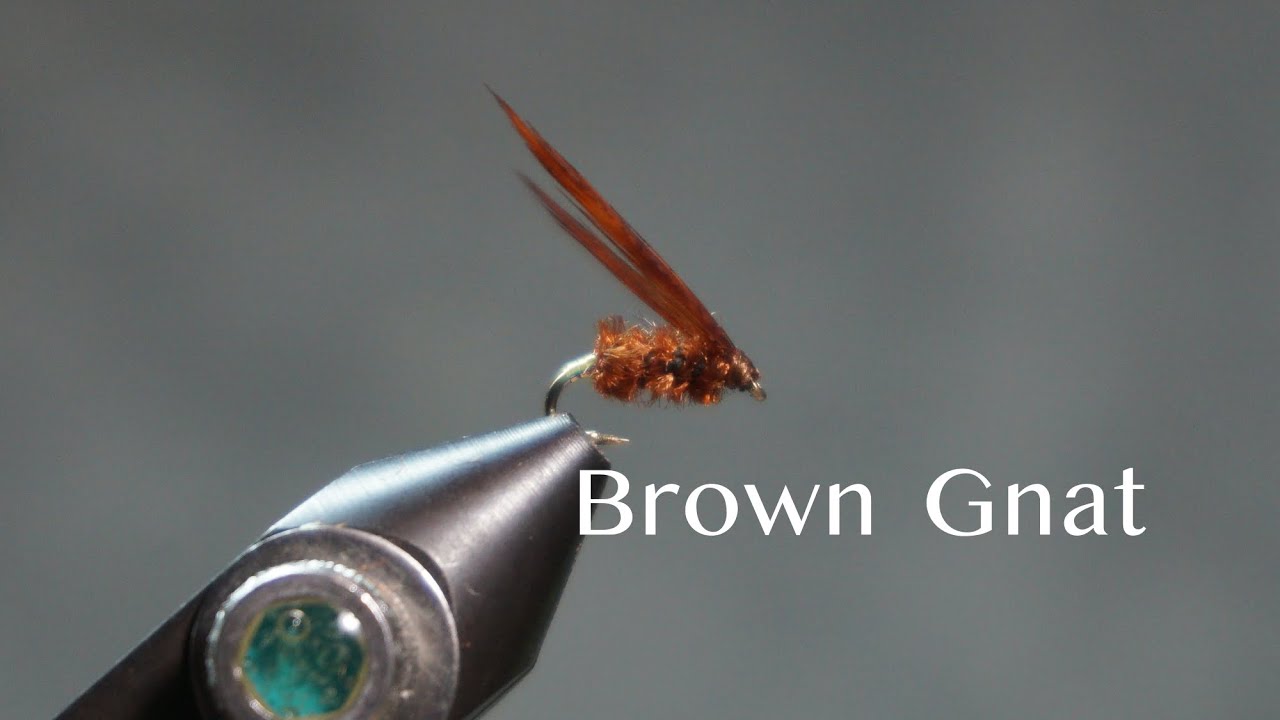 Brown Gnat (from Favorite Flies and Their Histories - 1892 - by Mary ...