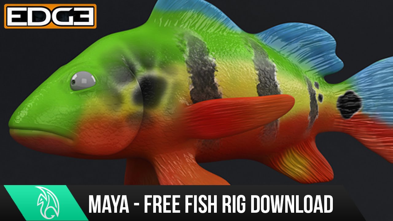 Fishing Rod Rig Maya at Cecil Messer blog