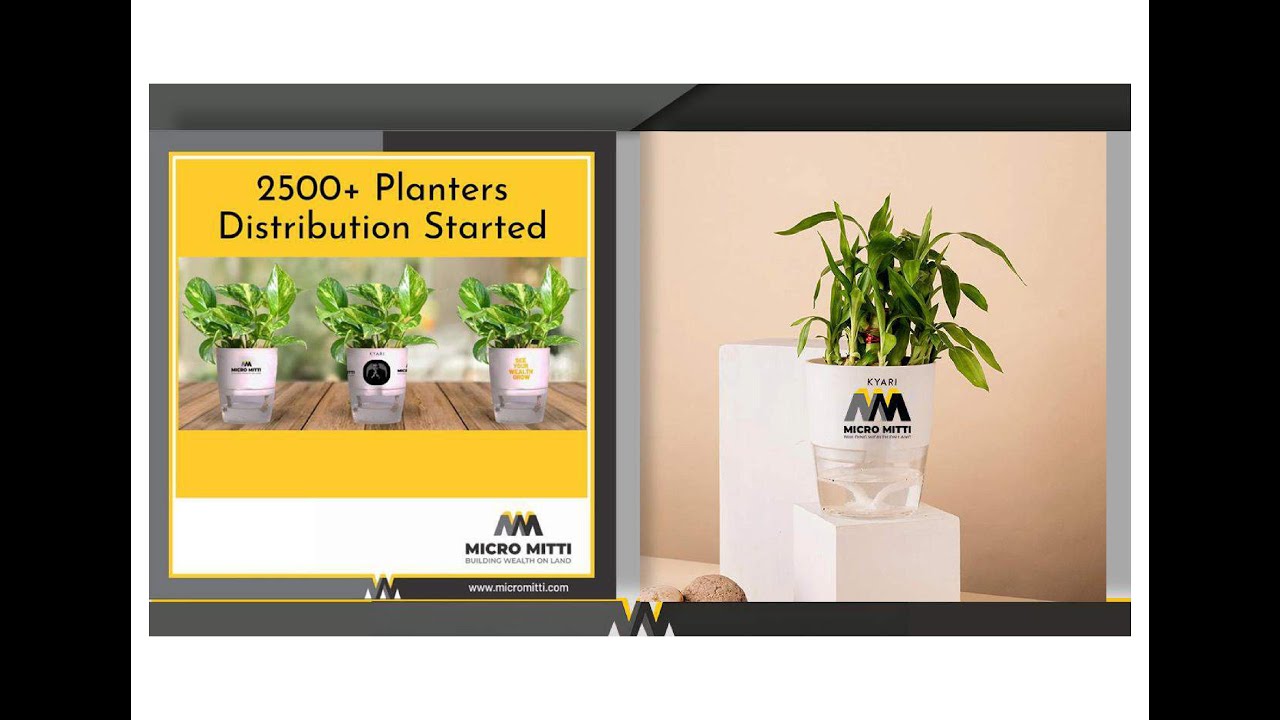 Green Drive: Micro Mitti's Initiative to Distribute 2500 Plants for a ...