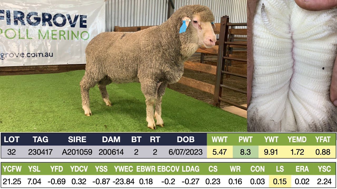 Lot 32 - Tag 230417 - YouTube