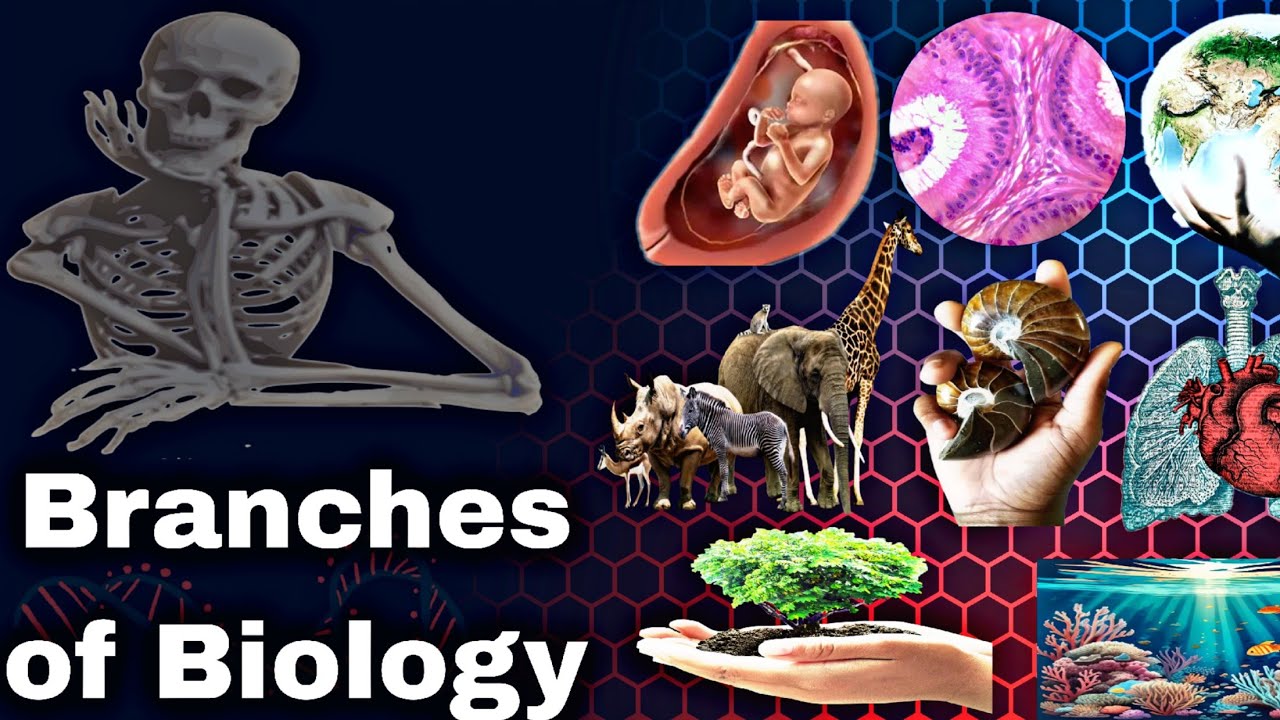 BRANCHES OF BIOLOGY (Part 1) | Class 9 Biology | Chapter 1 | Lecture 3 ...
