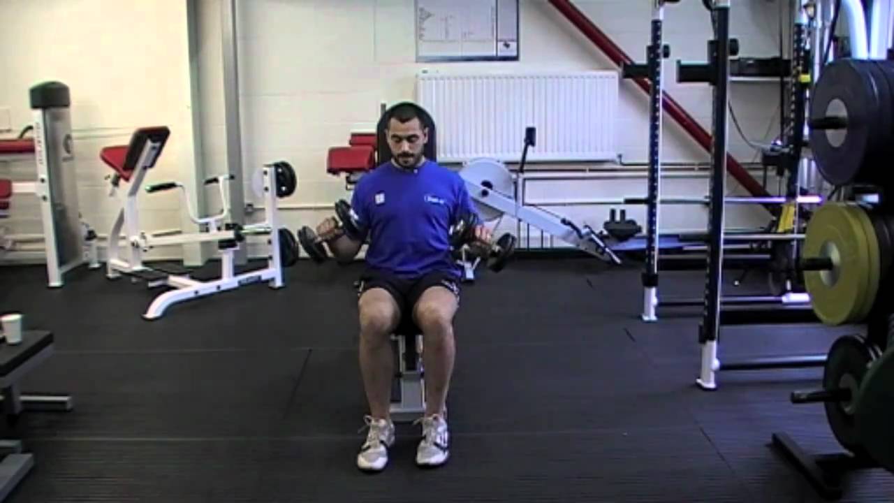 Seated Dumbbell Reverse Curls.mov - YouTube