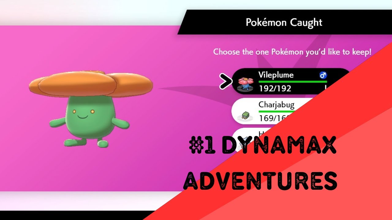 007-#1 Dynamax Adventures - YouTube